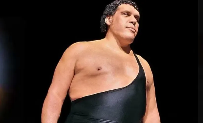 Come è morto Andre The Giant? Biografia e vita privata del wrestler più ...