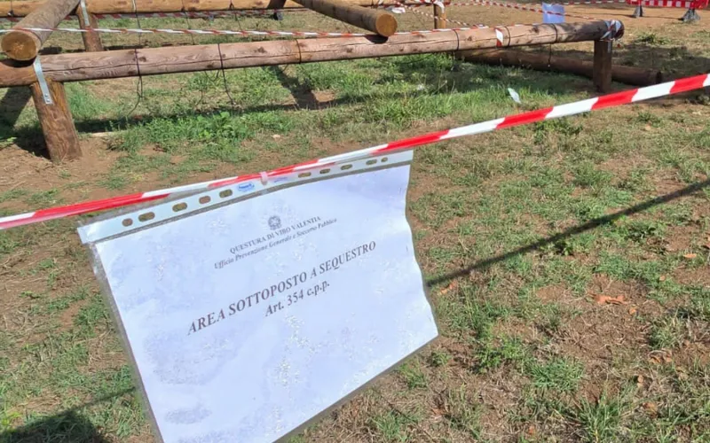 Com’è morto Francesco, il bimbo di 3 anni colpito da una trave in un ...