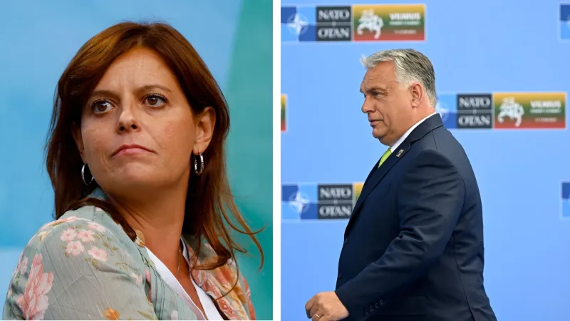 Il destino di Ilaria Salis nelle mani del Parlamento europeo: ecco ...