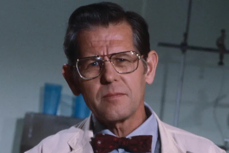 Come è morto Ed Williams? Biografia e vita privata dell'attore