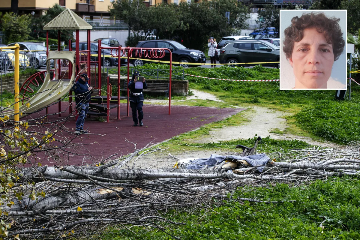 Francesca Ianni uccisa da un albero a Roma, due funzionari del ...