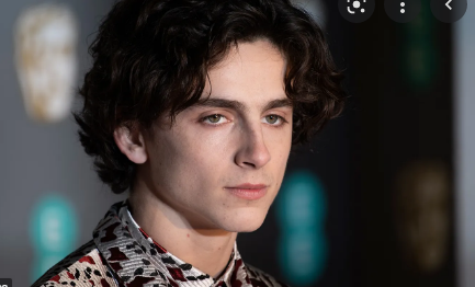Timothée Chalamet fidanzata, chi è modella Rebecca Maude