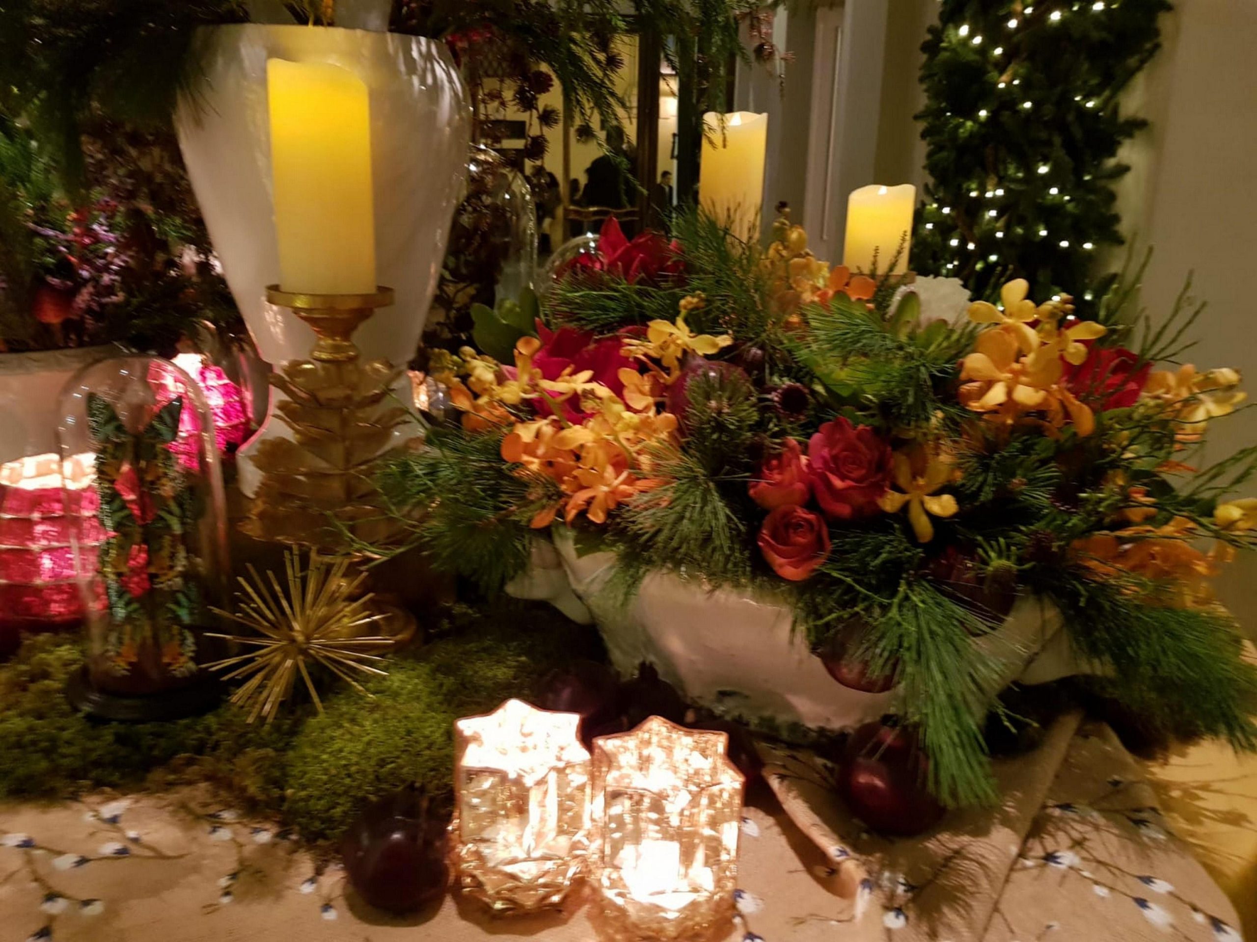 Vischio di Natale, cos'è e qual è il suo significato