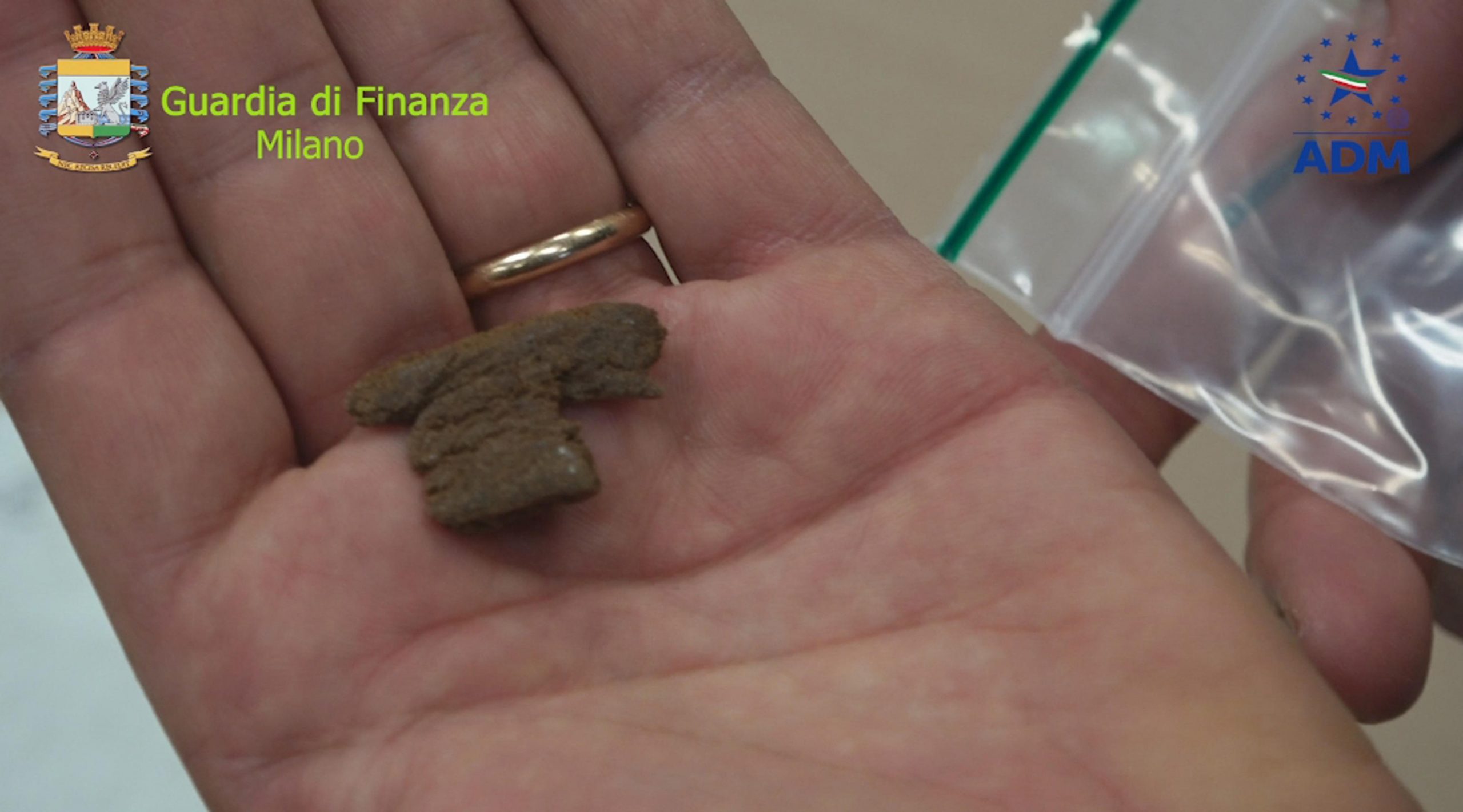 funghetti allucinogeni legali Usa, dove, da quando, scopo, come