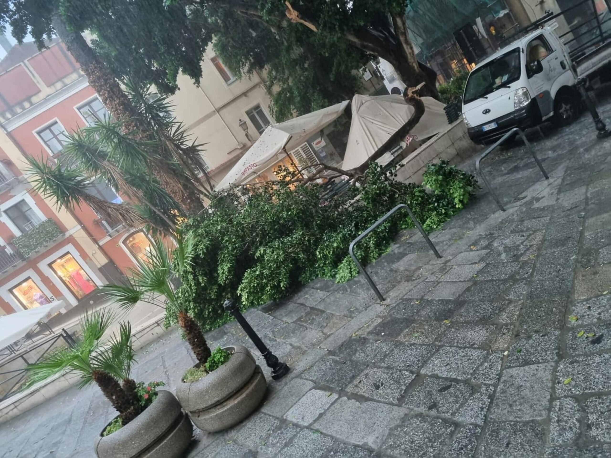 Albero crolla su un'edicola, tragedia sfiorata a via Roma a Cagliari