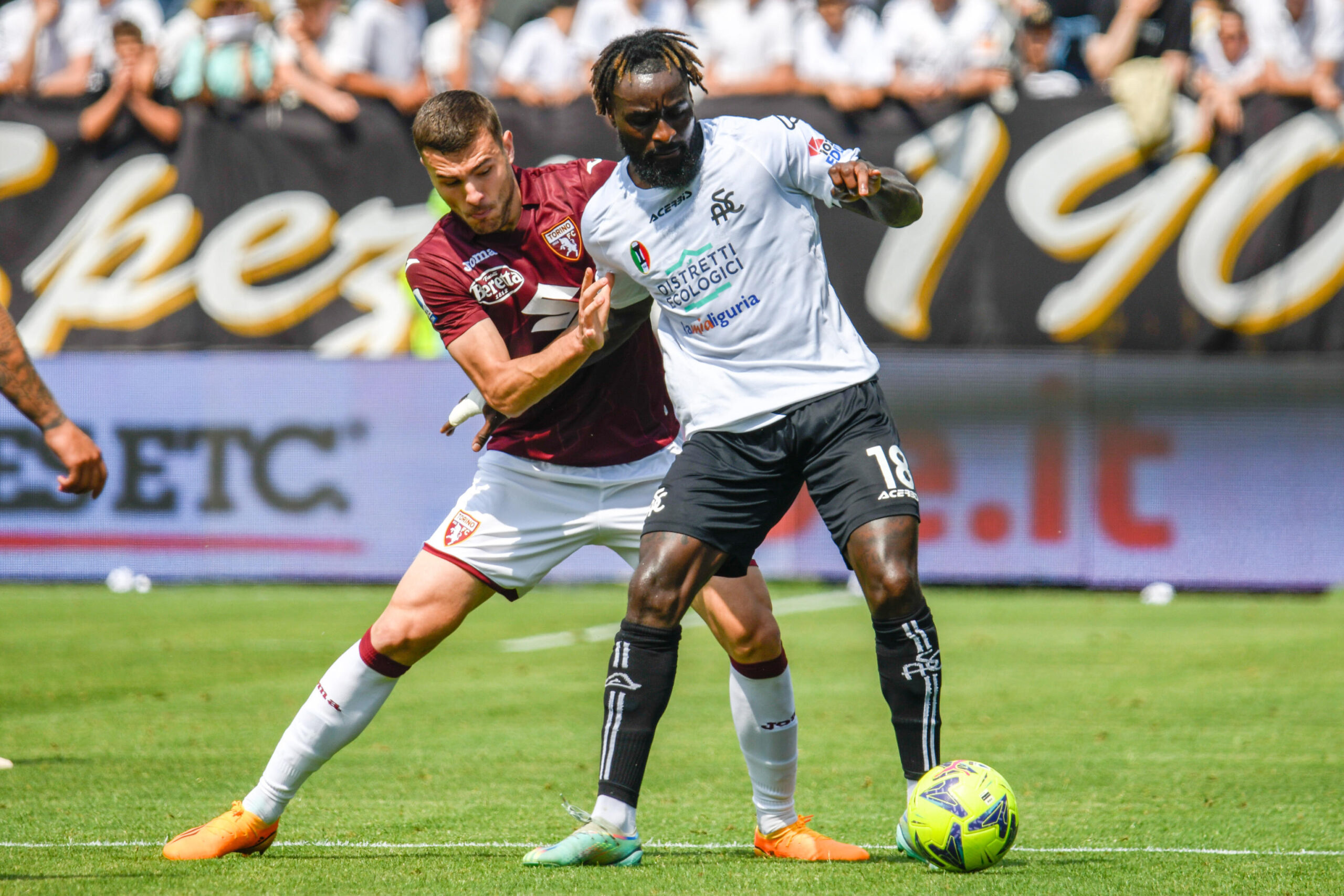 Nzola alla Roma, l'attaccante dello Spezia per sostituire Abraham