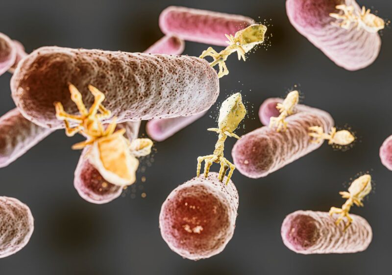 Come si trasmette la sifilide, quali sono i sintomi e quanto è ...