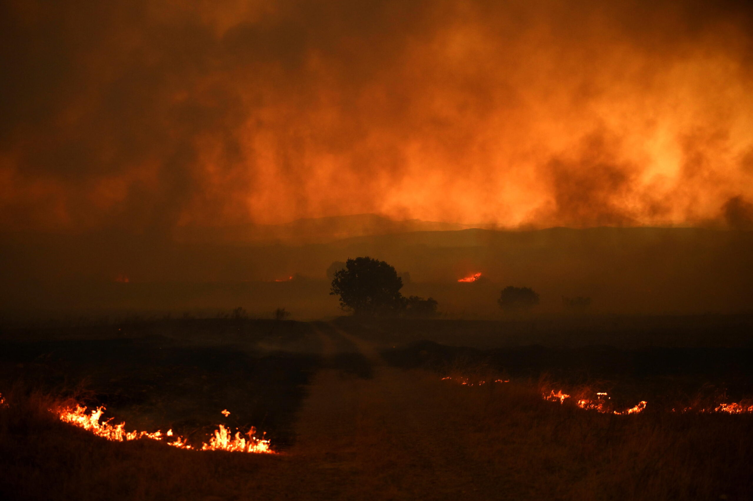 Incendi in Grecia, il bilancio dei morti sale a 21 persone, paese allo ...
