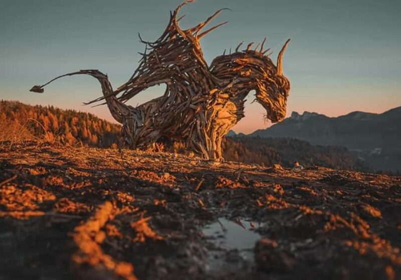 Drago di Vaia, cos'è la scultura di Marco Martalar distrutta da un incendio a Lavarone?