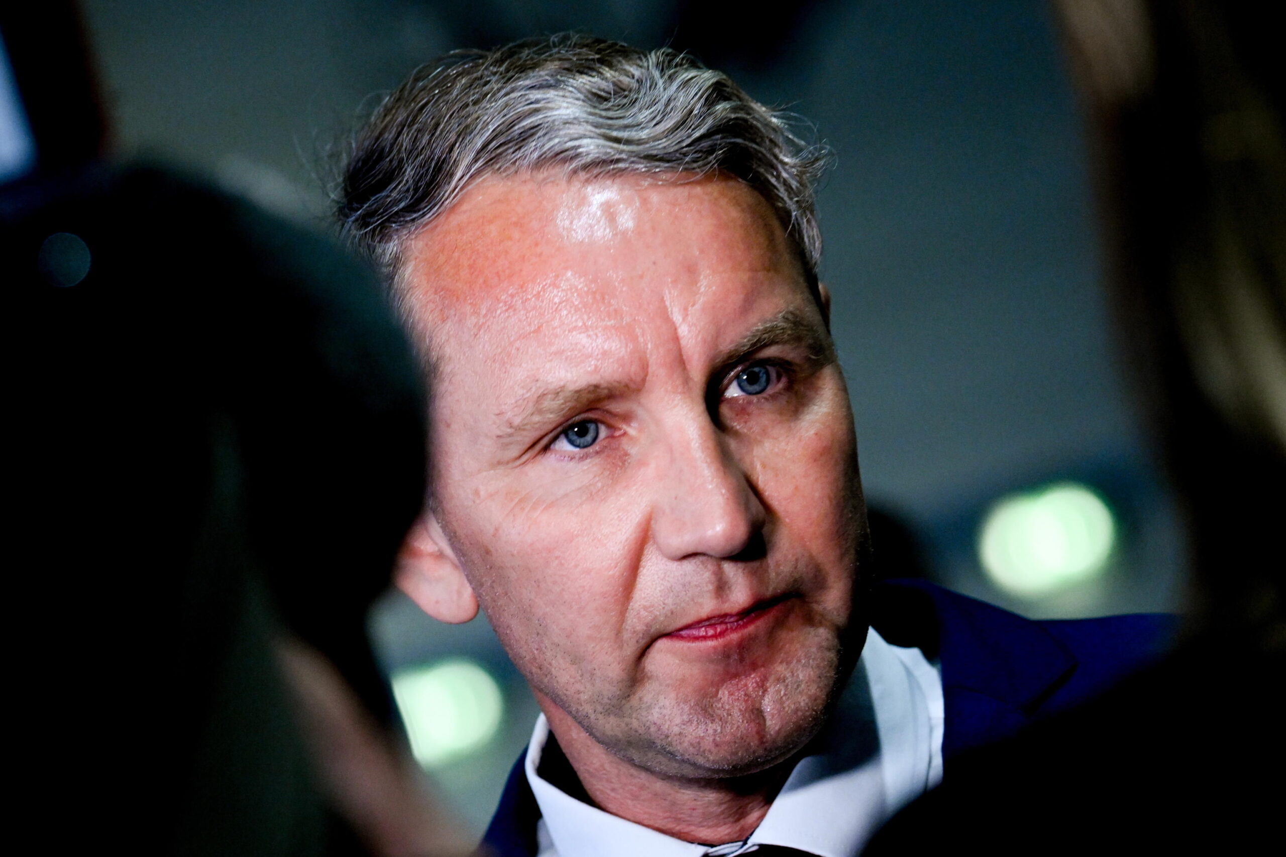 Chi è Bjoern Hoecke, difeso da Borghi (Lega) nel suo intervento su ...
