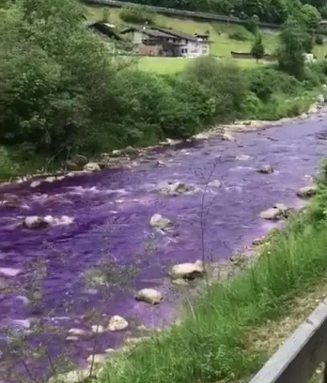 Perché l'acqua del torrente Lura è diventata viola?