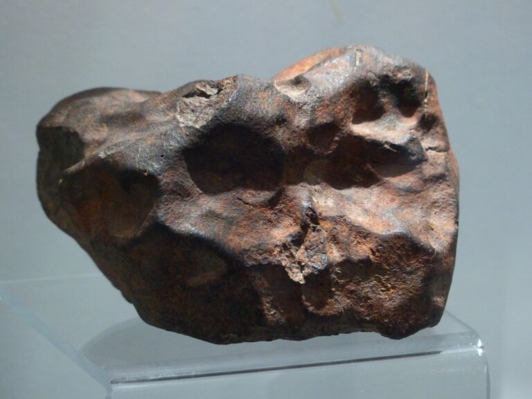 La storia del meteorite che colpì di Ann Elizabeth Hodges il 30 nov...