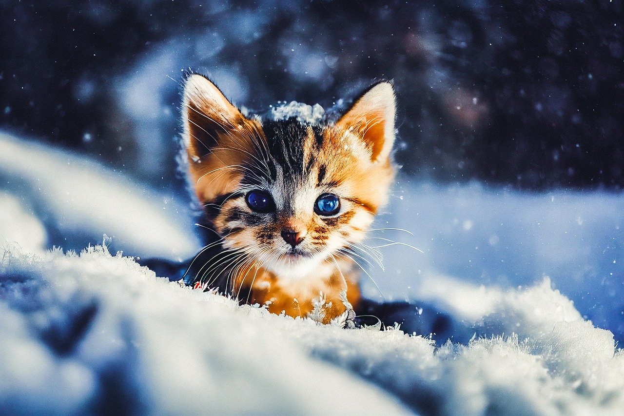 Buongiorno benvenuto gennaio, le più belle frasi per salutare il nuovo ...