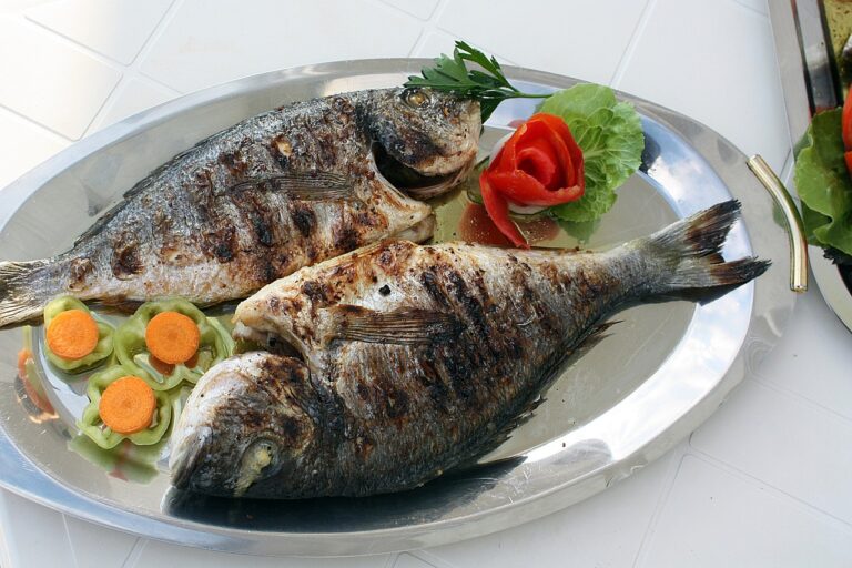 Pesce pagro: ricette e idee per utilizzarlo in cucina
