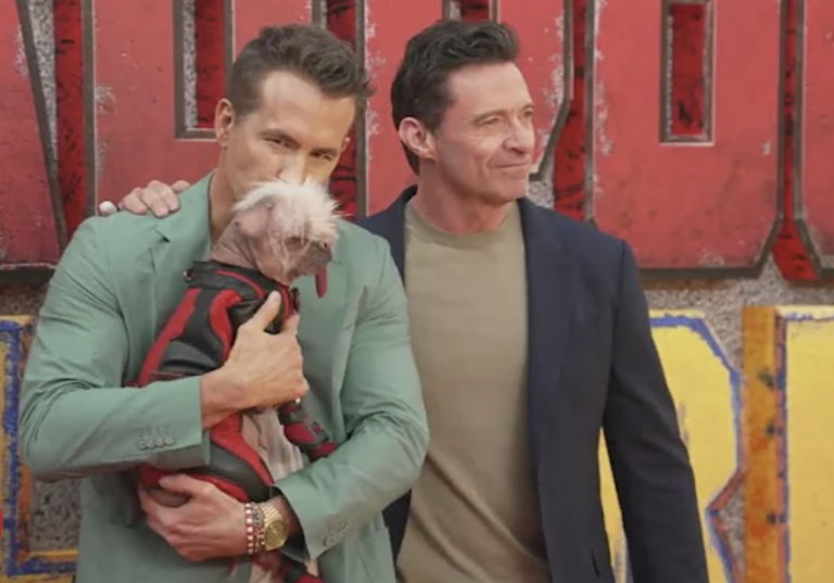 Chi è Dogpool? Razza, nome, età del cane co-protagonista del film ...