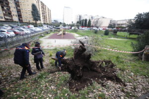 Francesca Ianni morta colpita da un albero a Roma, grave l'amica ...